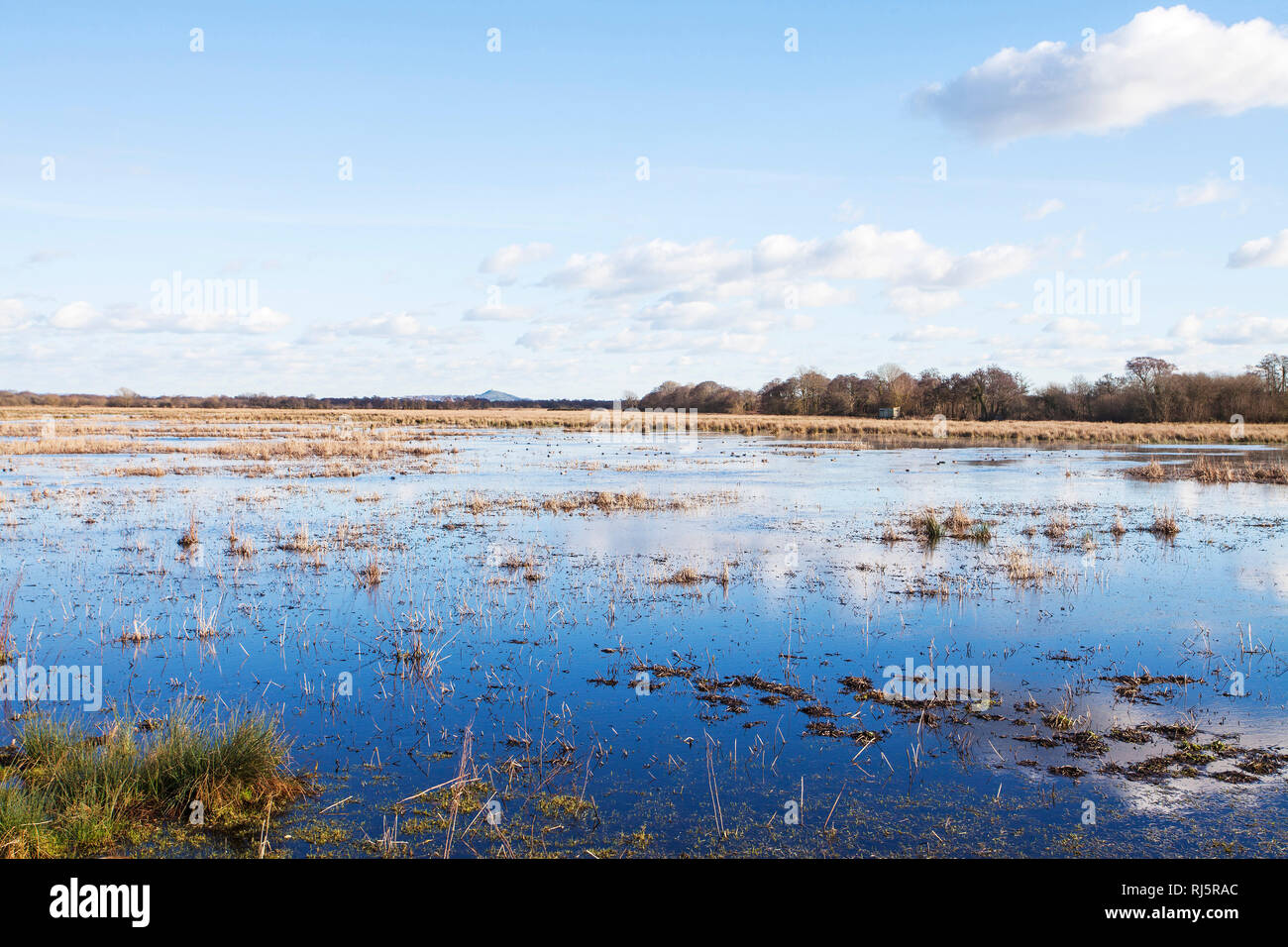 Catcott lows Banque de photographies et d’images à haute résolution - Alamy