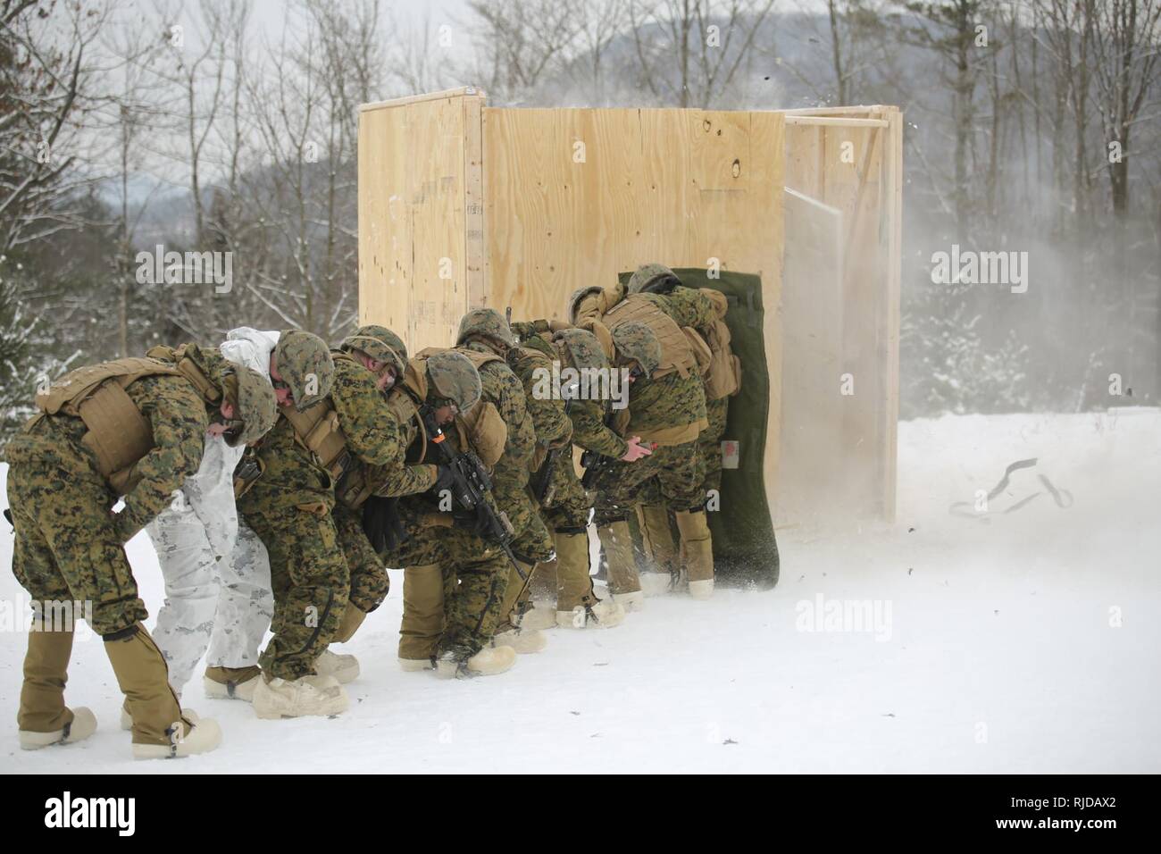 4ème Bataillon Du Génie De Combat Banque De Photographies Et Dimages à