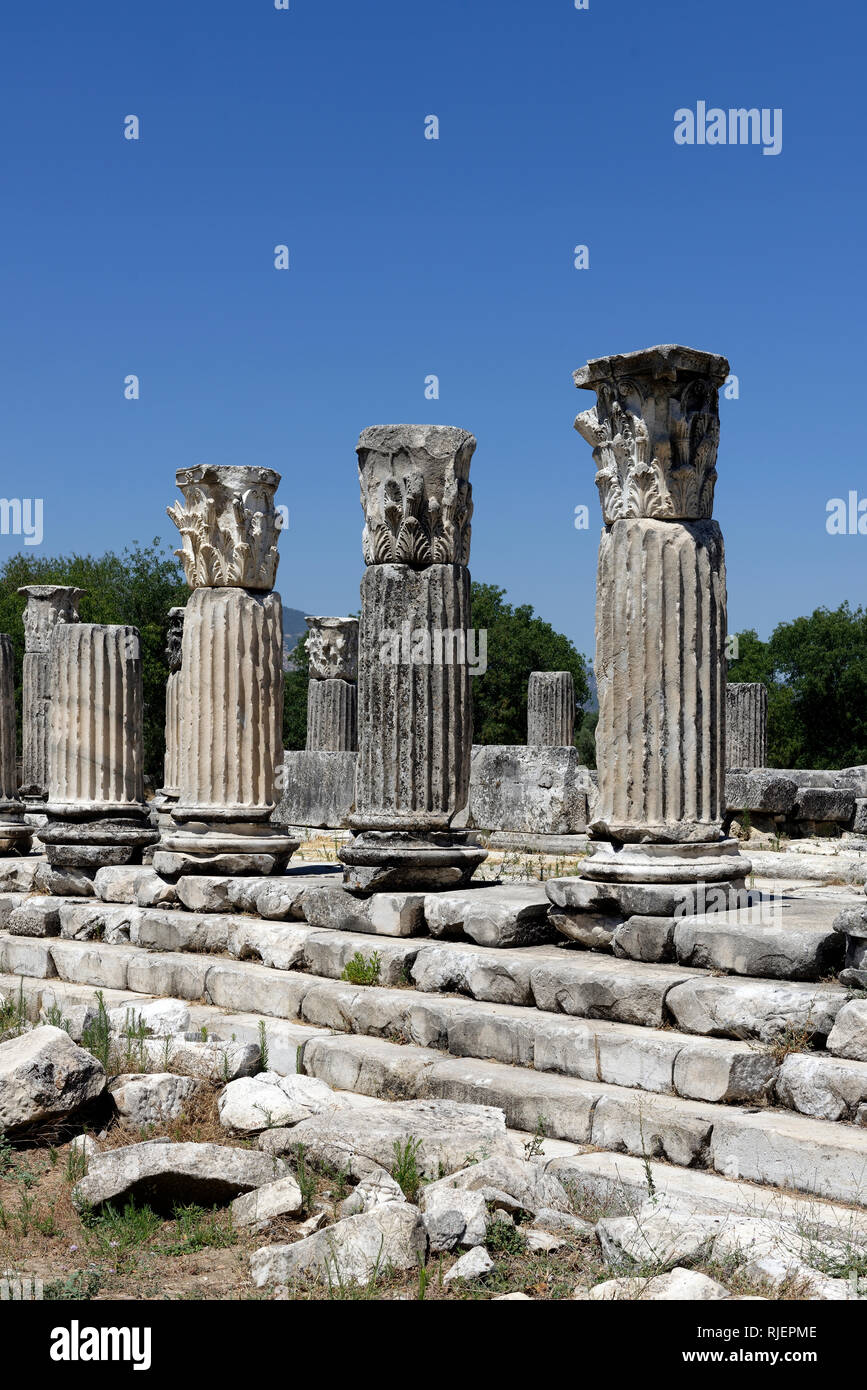 Le temple d'Hécate (Hekate) qui date du 2e siècle avant J.-C., Lagina ...