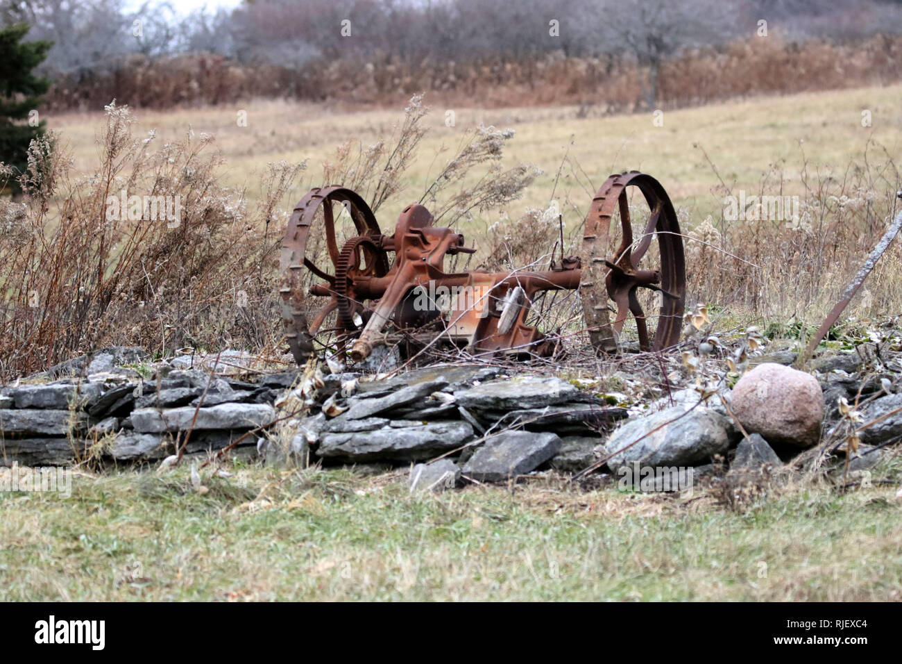 Matériel agricole tiré par des chevaux Banque de photographies et d ...