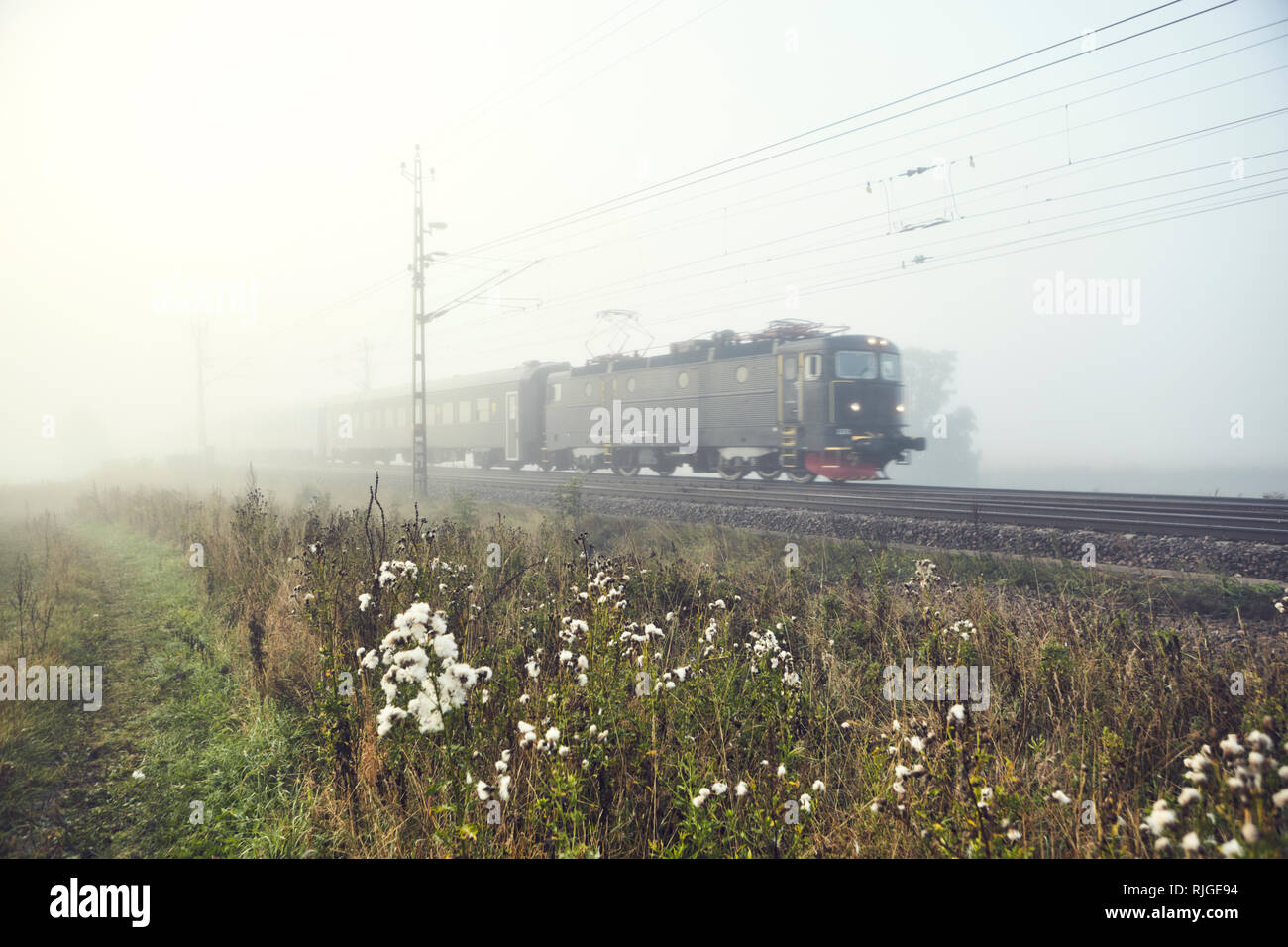 Brouillard de train Banque de photographies et d’images à haute ...