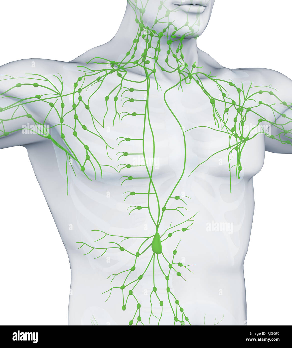 Cancer lymphatique Banque d'image et photos - Alamy