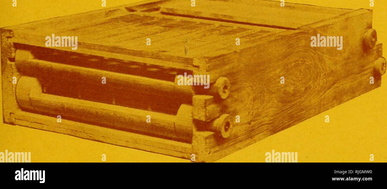 Accouplement de voiture d'abeille Banque de photographies et d’images à ...