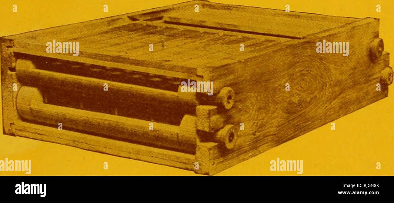 Accouplement de voiture d'abeille Banque de photographies et d’images à ...