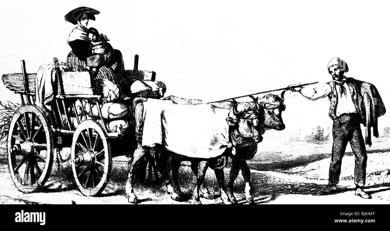 Bœufs et charrette france Banque de photographies et d’images à haute résolution - Alamy