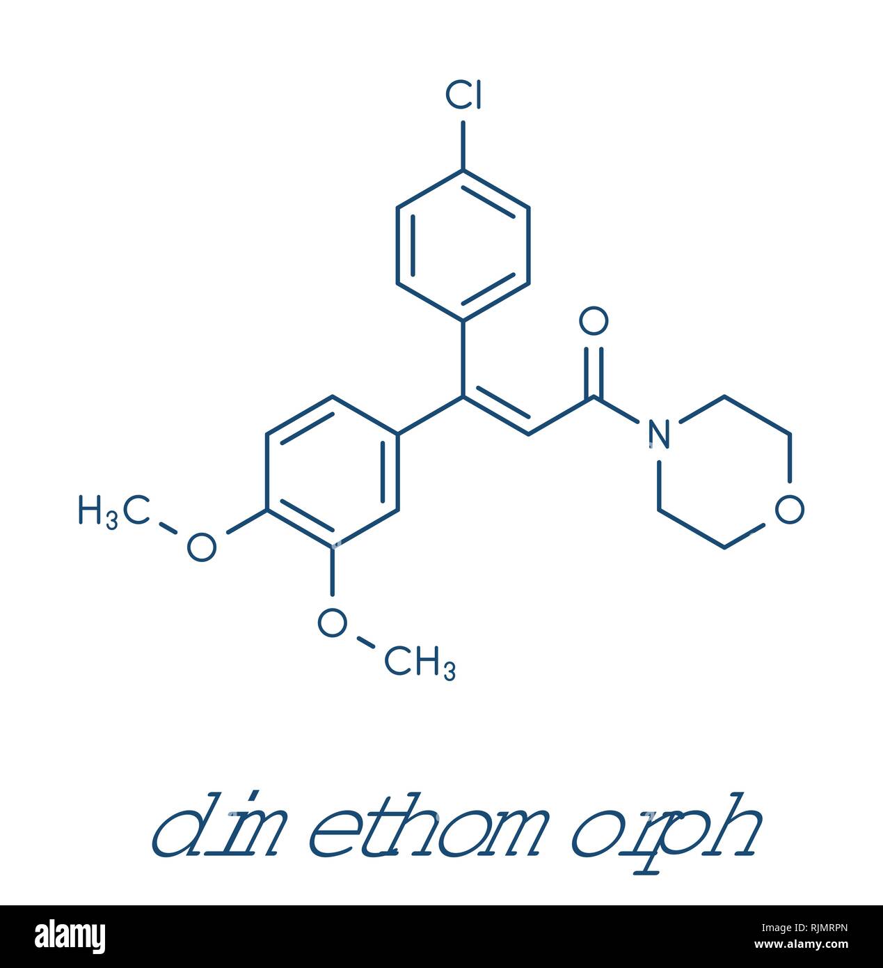 Phytophthora root rot Banque d'images vectorielles - Alamy