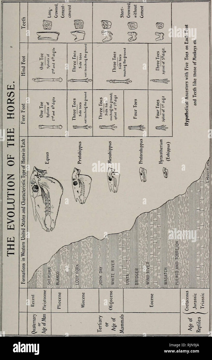 . Les formations de badlands de la région des Black Hills. La géologie ...