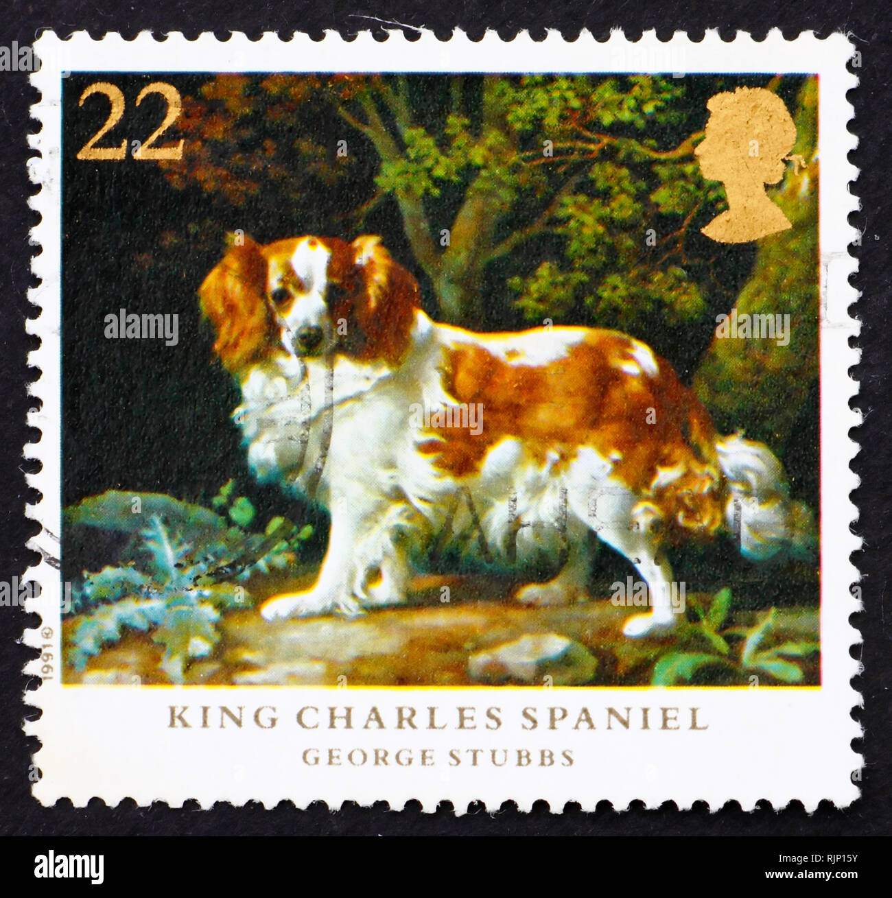 King george spaniel Banque de photographies et d’images à haute ...
