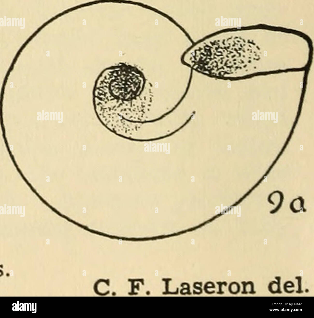 . Le zoologiste australien. Zoologie Zoologie Zoologie ; ;. Fig. 1-9 ...