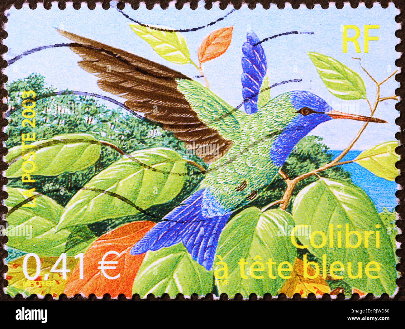 Faune francaise Banque de photographies et d’images à haute résolution ...