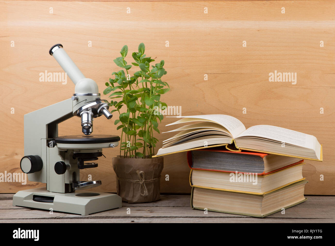 Crayon de bois microscope Banque de photographies et d’images à haute ...