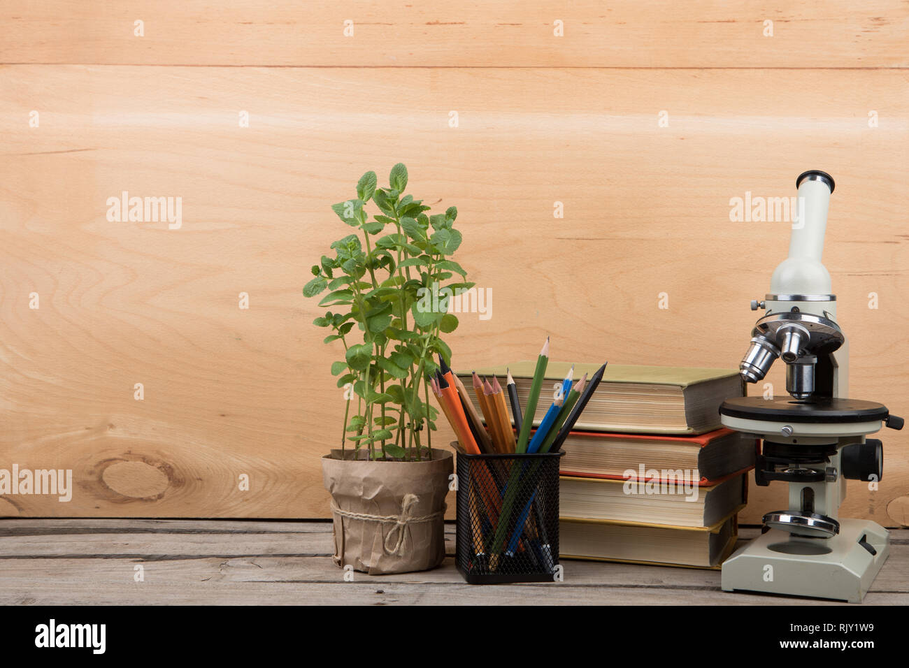 Crayon de bois microscope Banque de photographies et d’images à haute ...