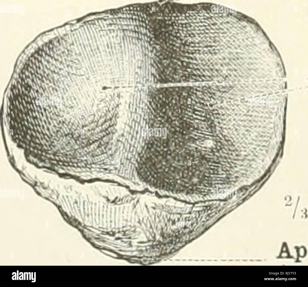 Carl A Dit Banque d'image et photos - Alamy