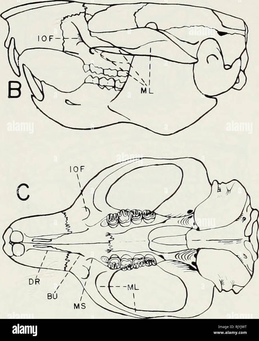 Numéro de livre265 Banque de photographies et d’images à haute ...