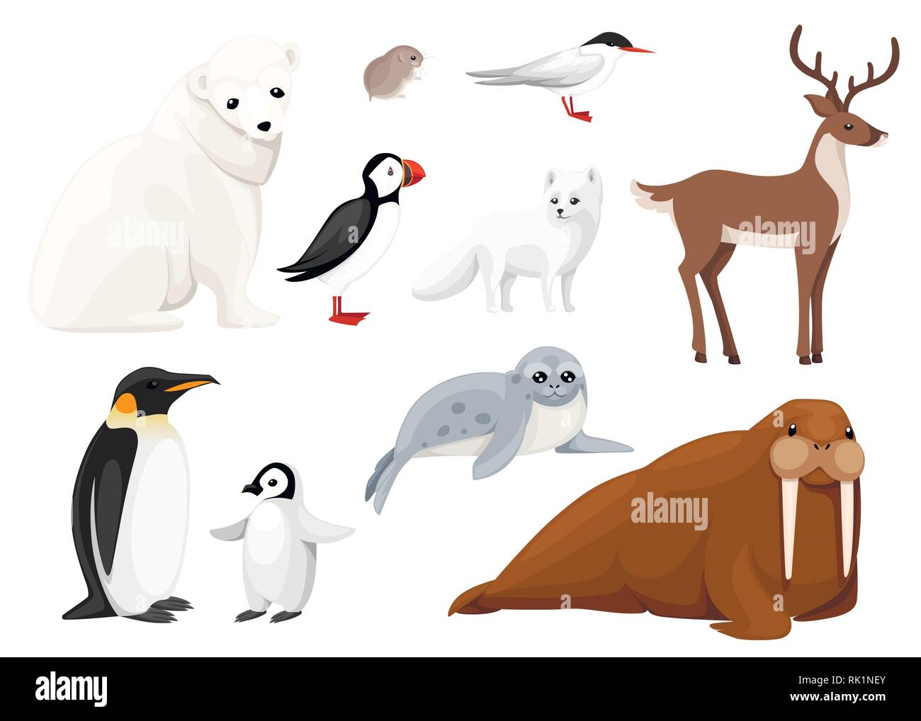 Ensemble d'animaux de l'Arctique. Les oiseaux et les mammifères ...
