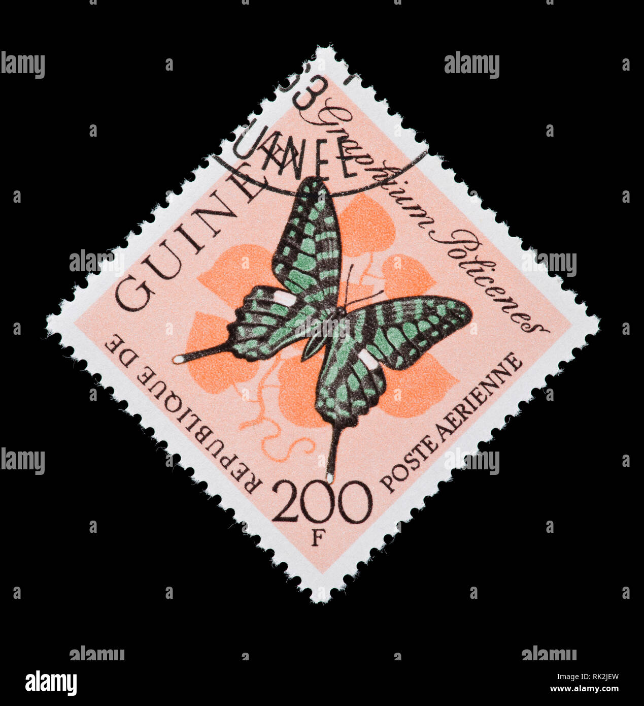 Swordtail butterfly Banque de photographies et d’images à haute ...