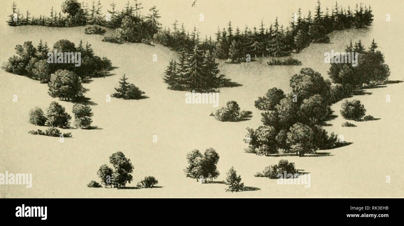 . L'art de l'architecture du paysage, son développement et son ...