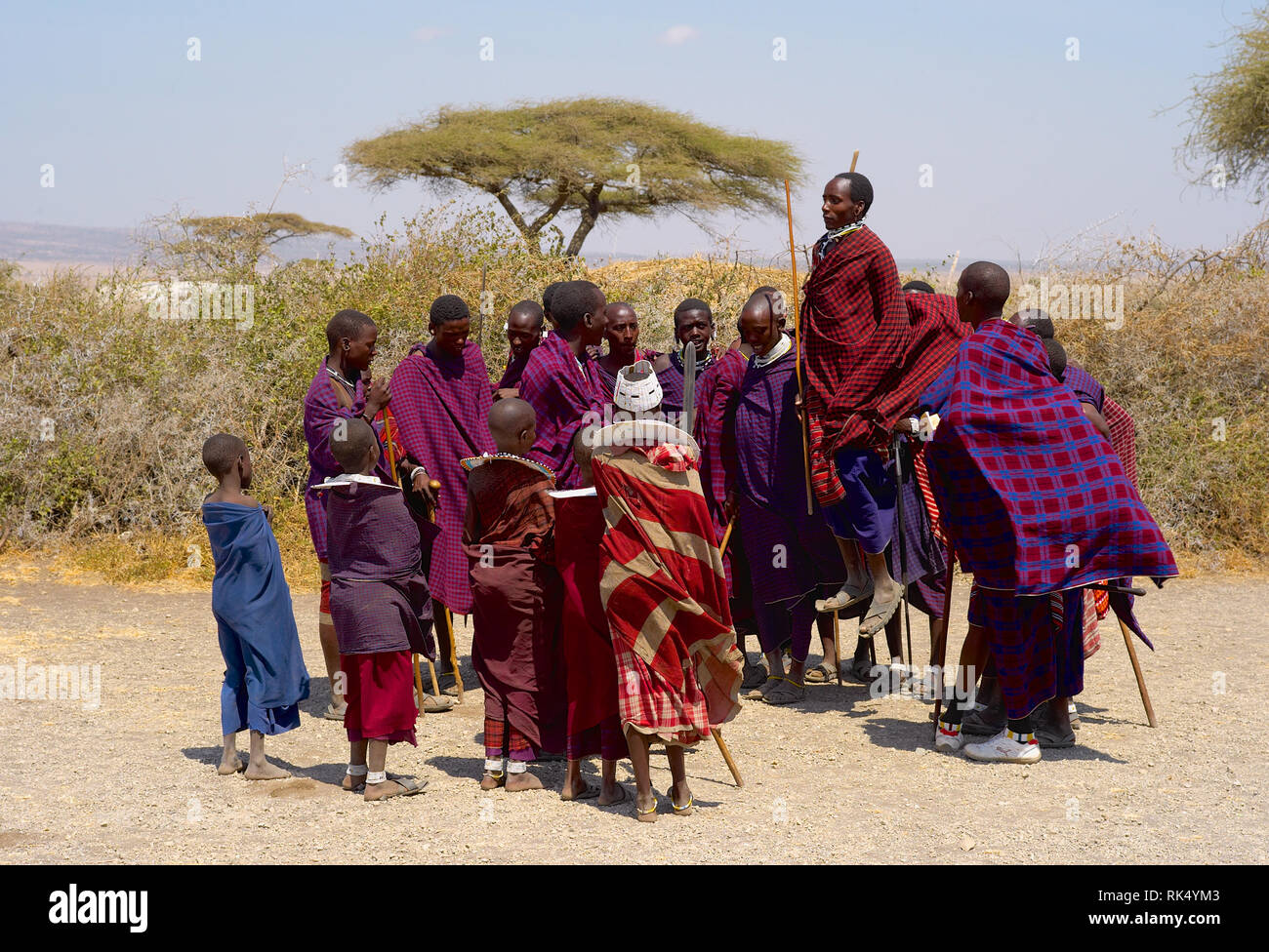 Homme masai en costume traditionnel Banque de photographies et d’images ...