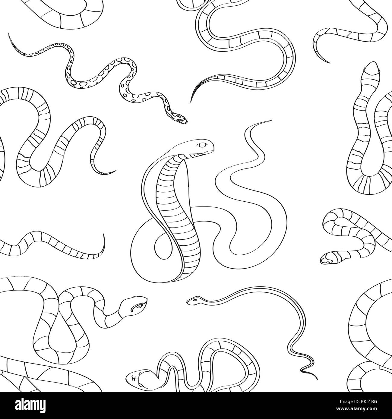 Rainforest snake Banque d'images noir et blanc - Alamy