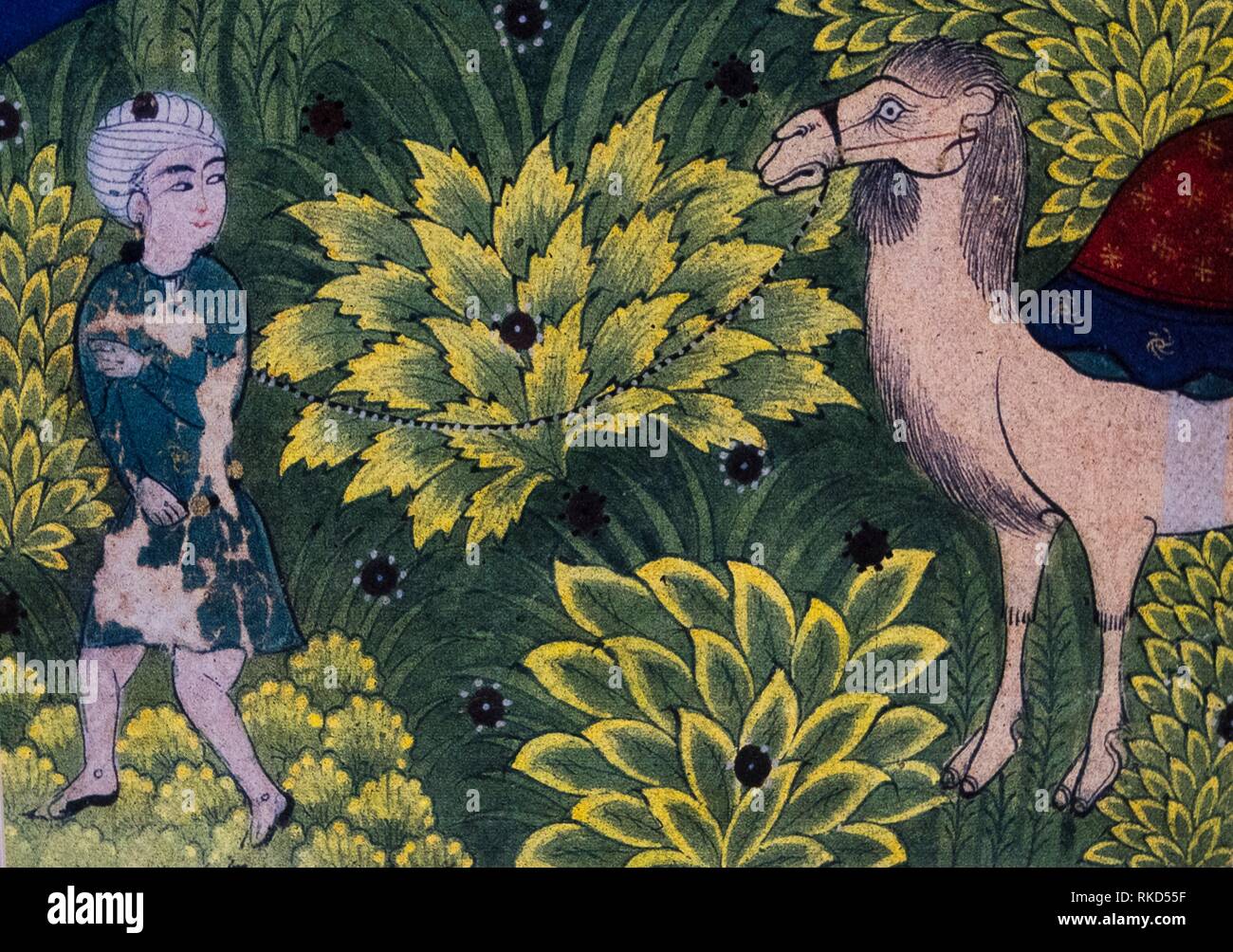 Miniature 15th century Banque de photographies et d’images à haute ...