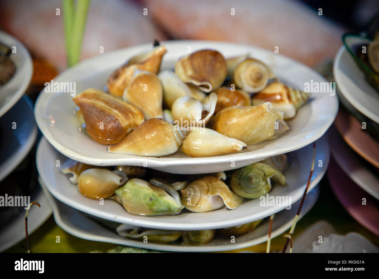 Un arrangement de fruits de mer crustacés connu comme le chien à ...