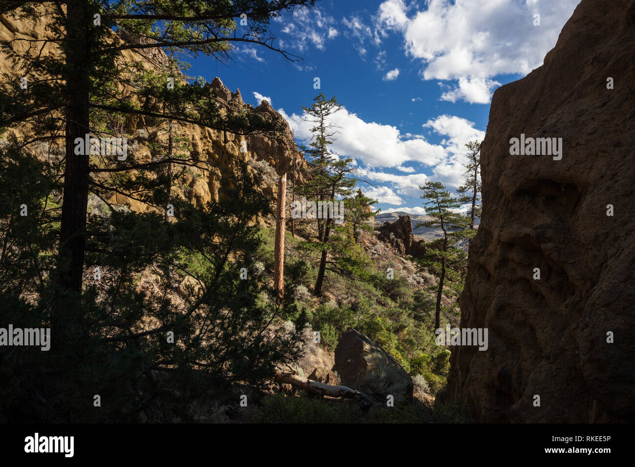 Thompson okanagan Banque de photographies et d’images à haute ...