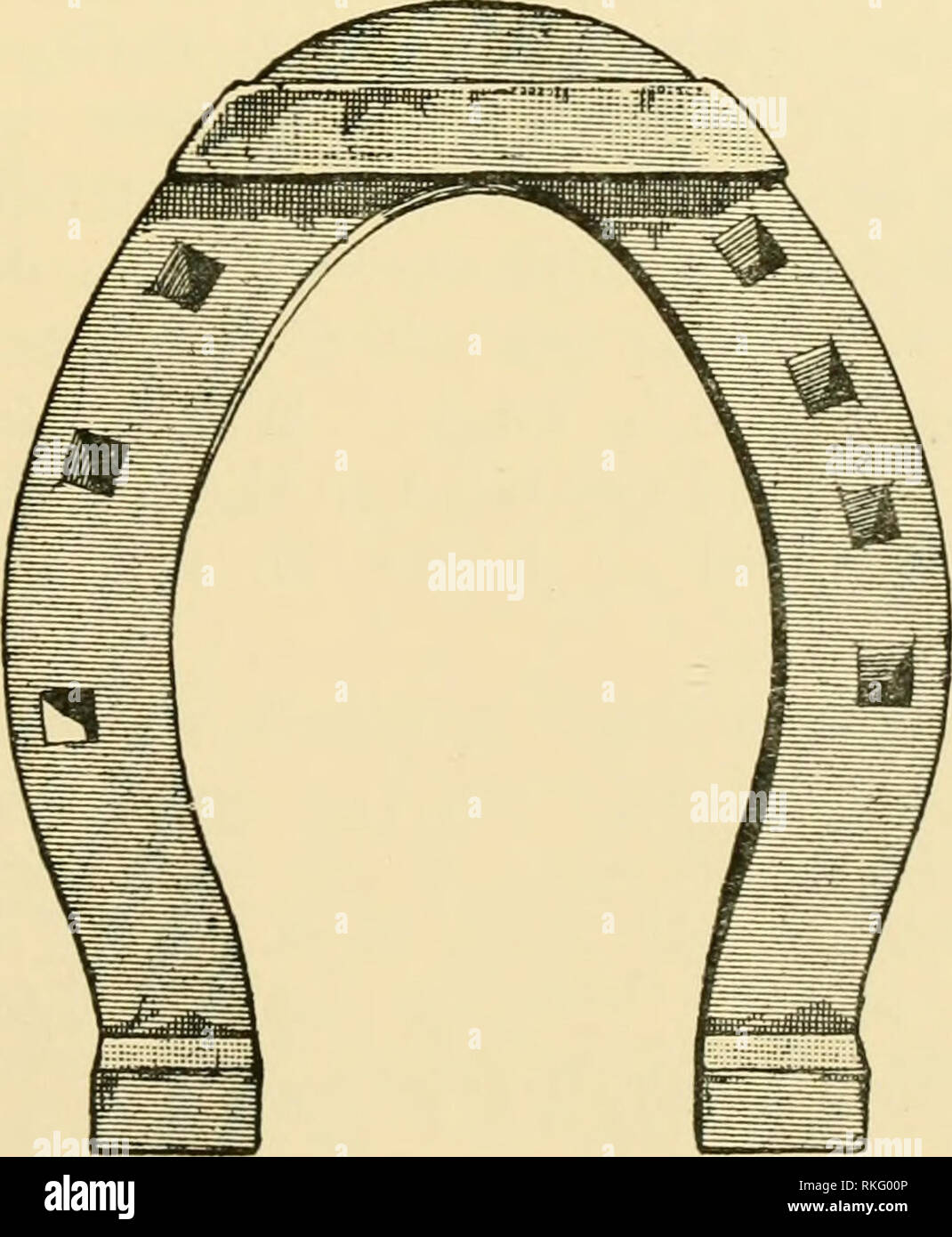 . L'art de la ferrure. Produits ; Sabots ; CHR 1905 ; PRO McNeil, John ...