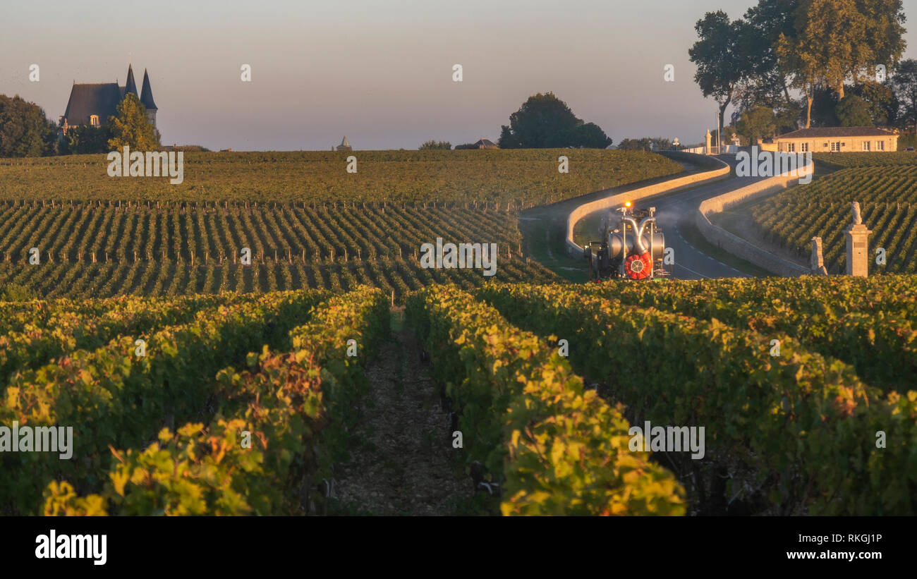 Route des Châteaux, Vignoble en Médoc, amous wine estate du vin de ...