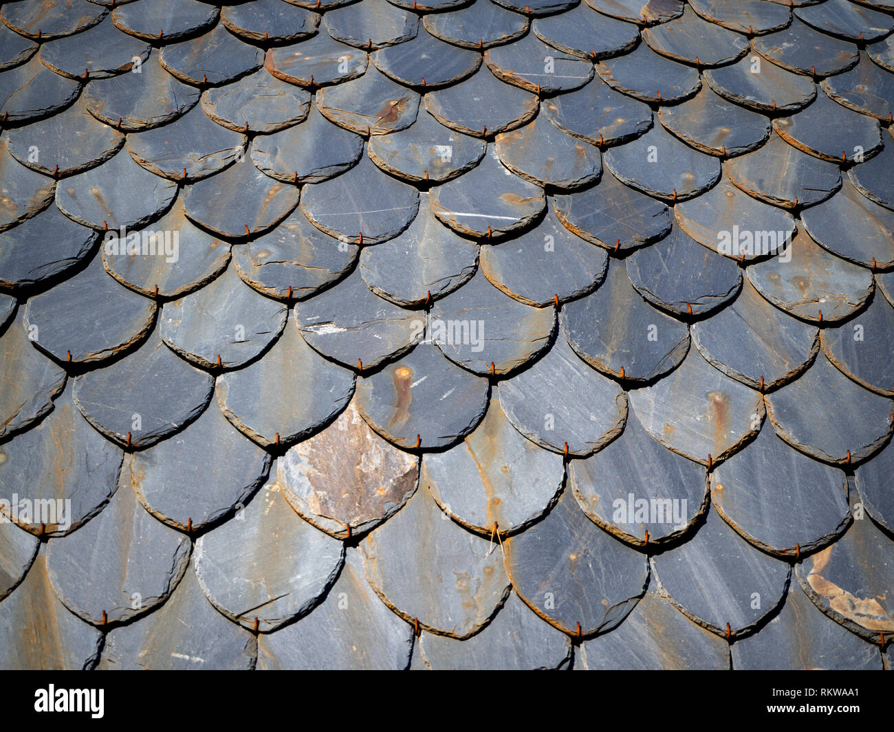 La texture des tuiles ardoise ronde qui ressemblent à des écailles ...