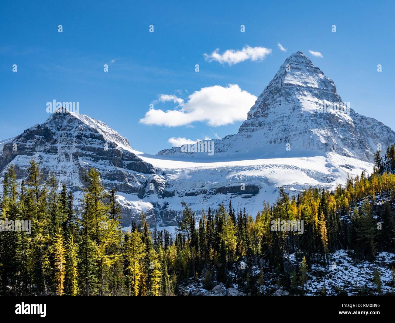 Mont assiniboine Banque de photographies et d’images à haute résolution ...