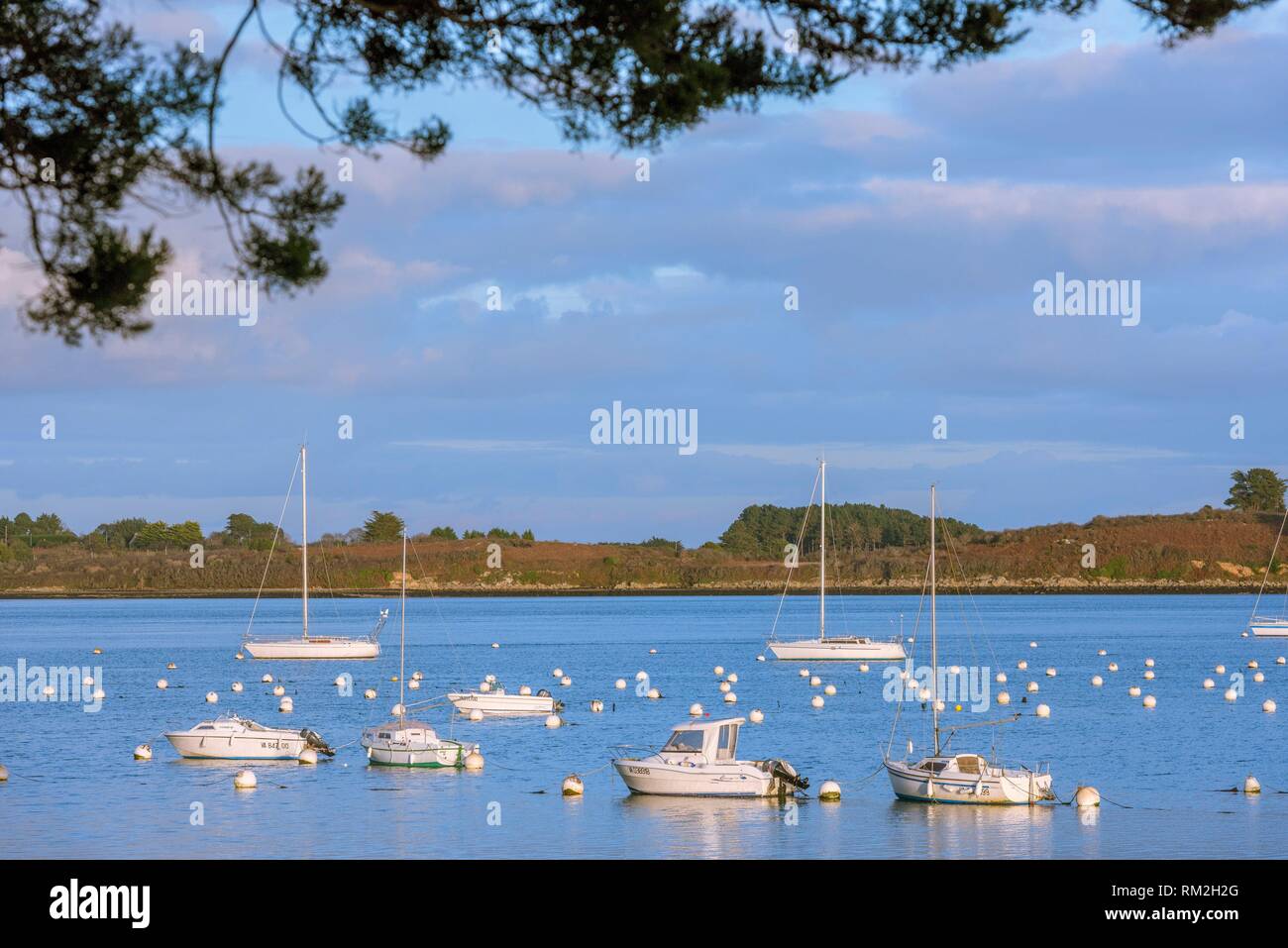 Golfe du morbihan Banque de photographies et d’images à haute résolution - Alamy