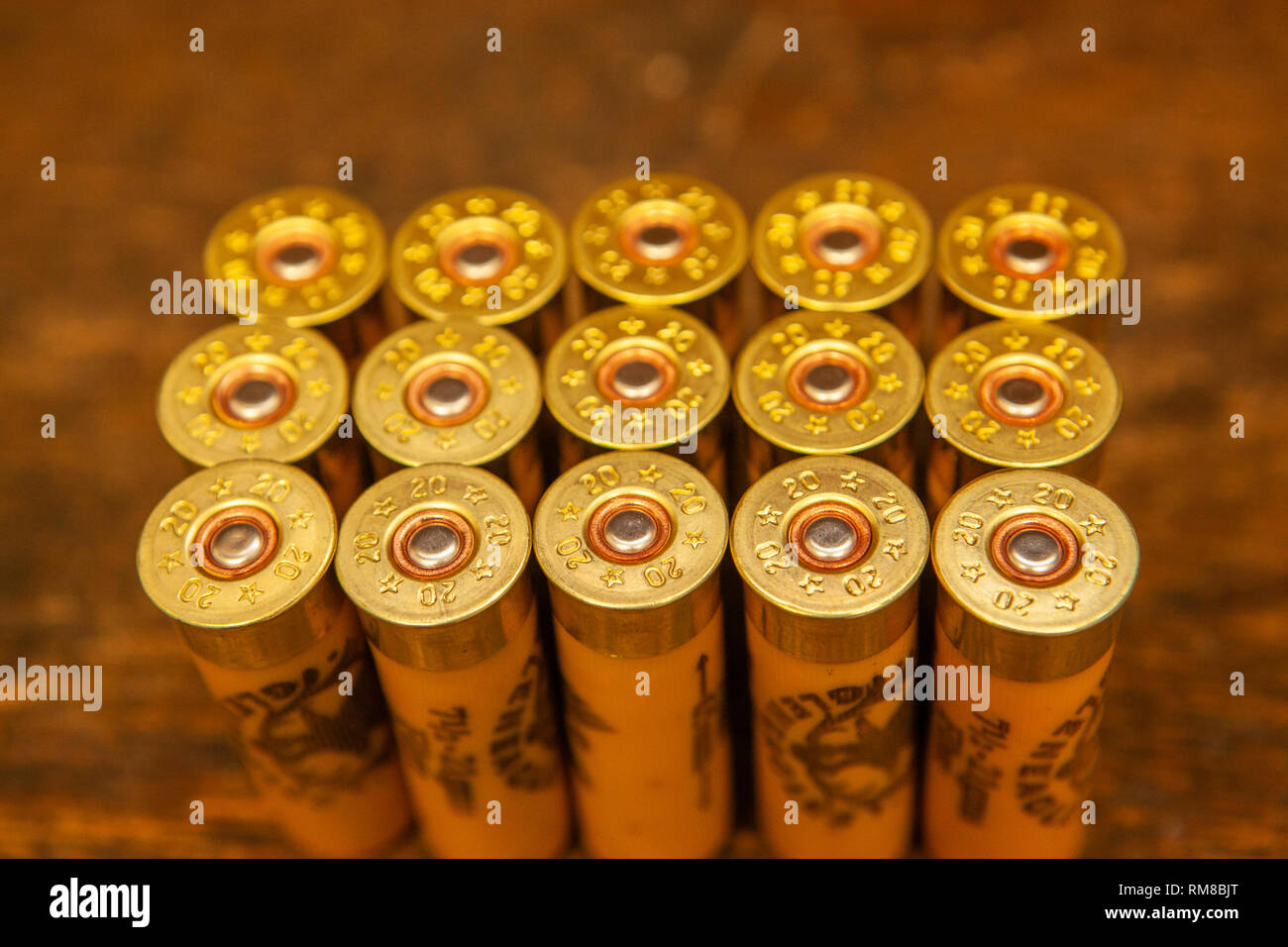 Vieilles cartouches de fusil de chasse Banque de photographies et d ...
