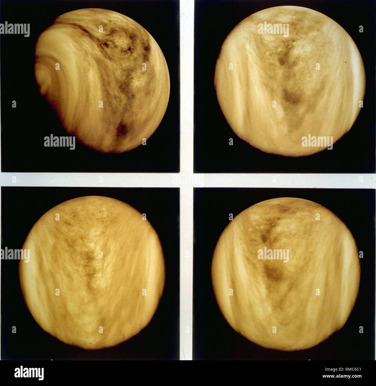 Le projet vénus Banque de photographies et d’images à haute résolution ...