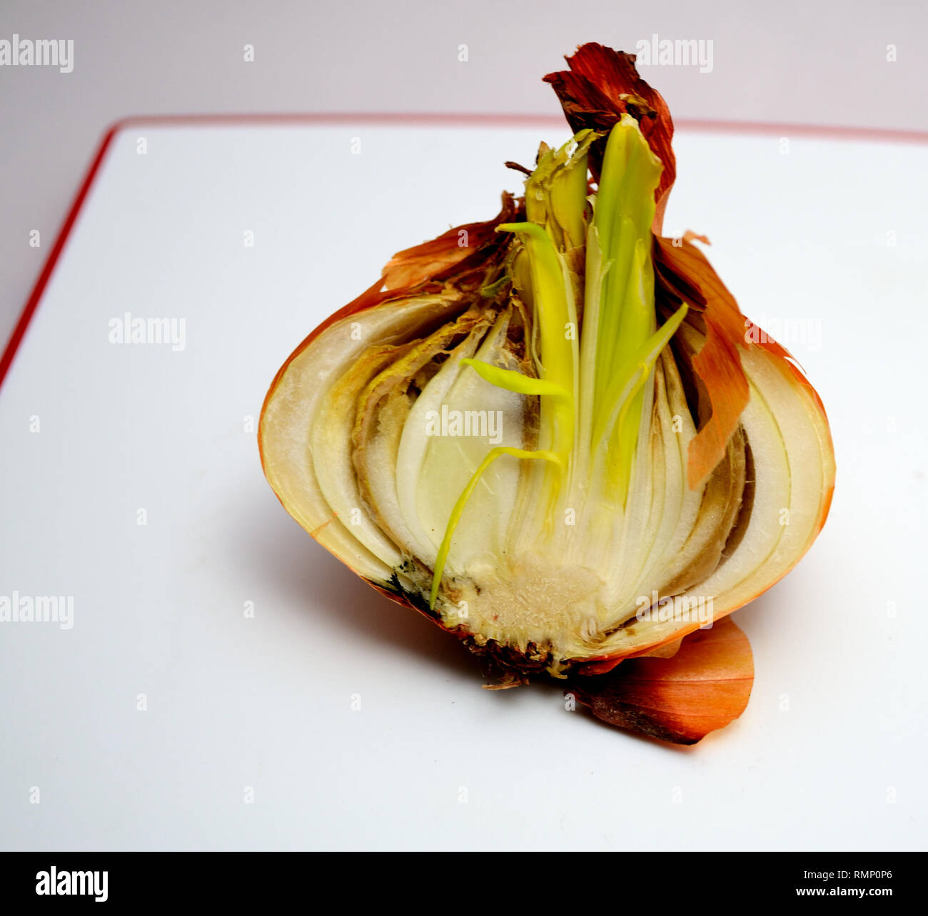 Légumes pourris Banque de photographies et d’images à haute résolution ...