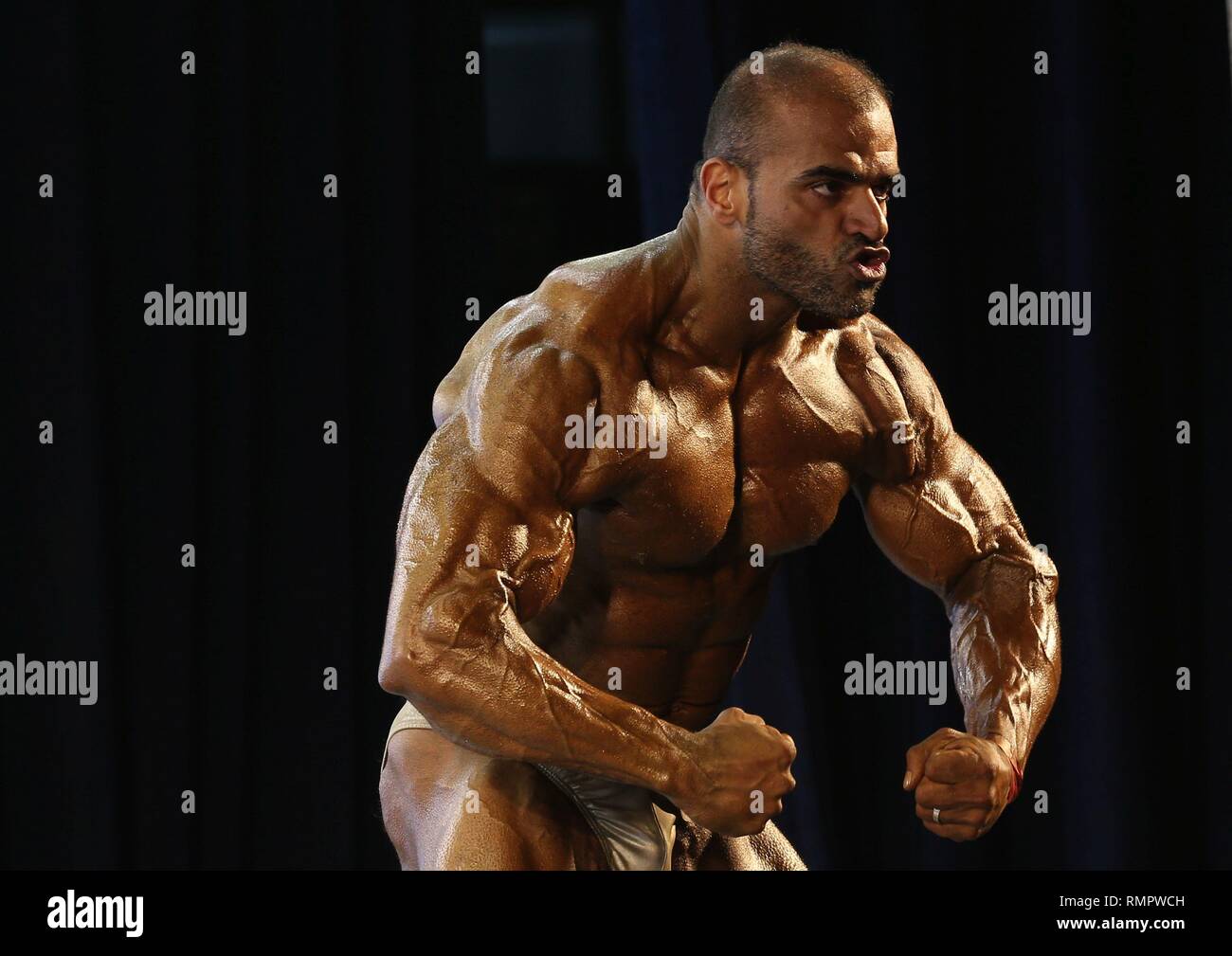 Ifbb pro league Banque de photographies et d’images à haute résolution ...