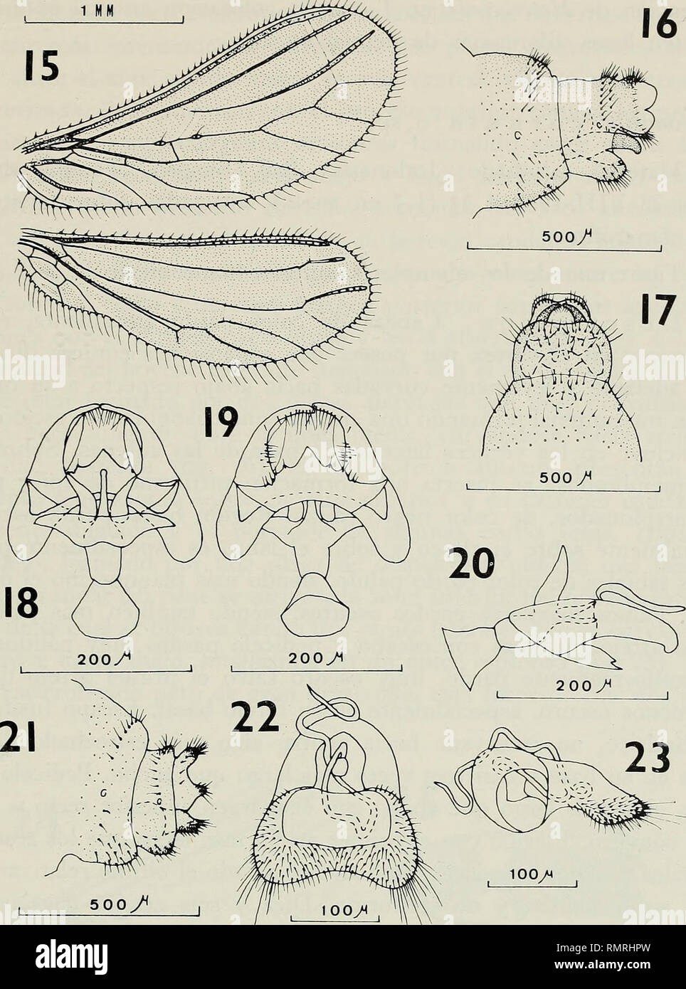 . Annali del Museo Civico di Storia Naturale Giacomo Doria. L'histoire ...