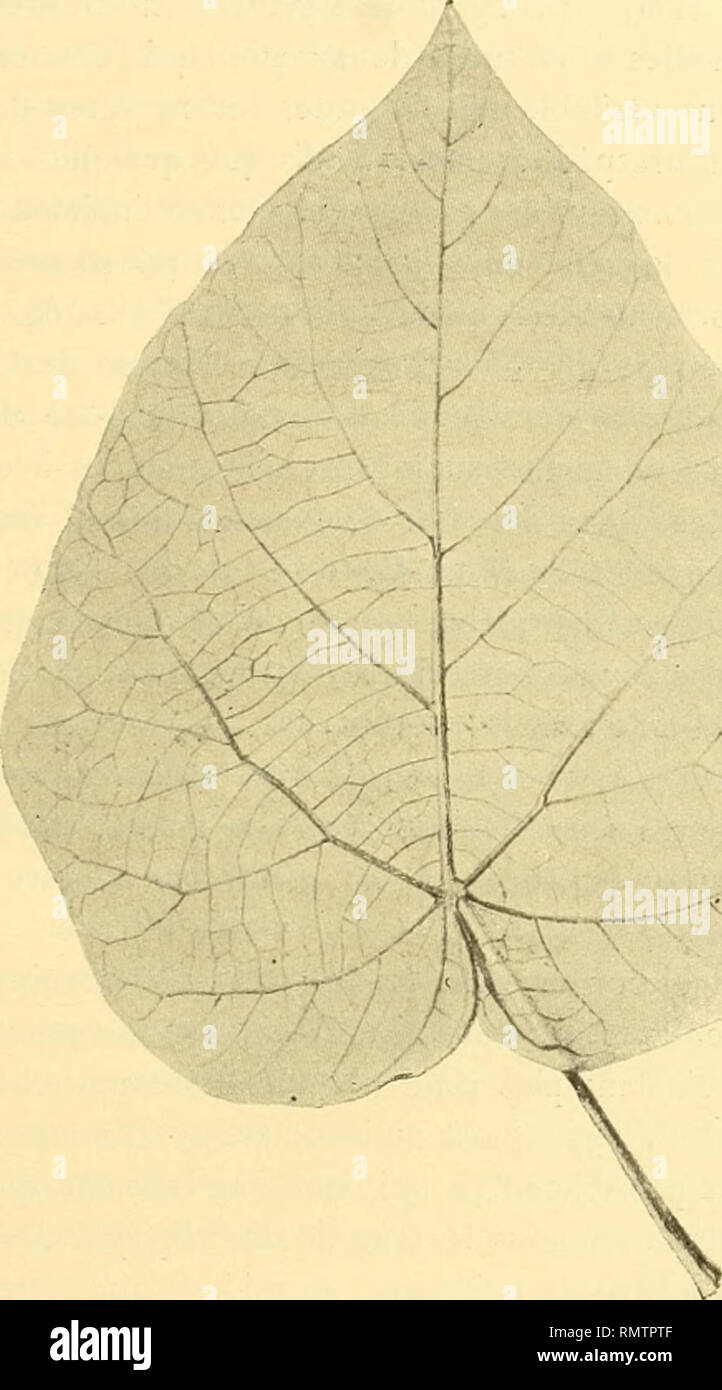 . Annales du Musée d'histoire naturelle de Marseille, publiée aux frais ...
