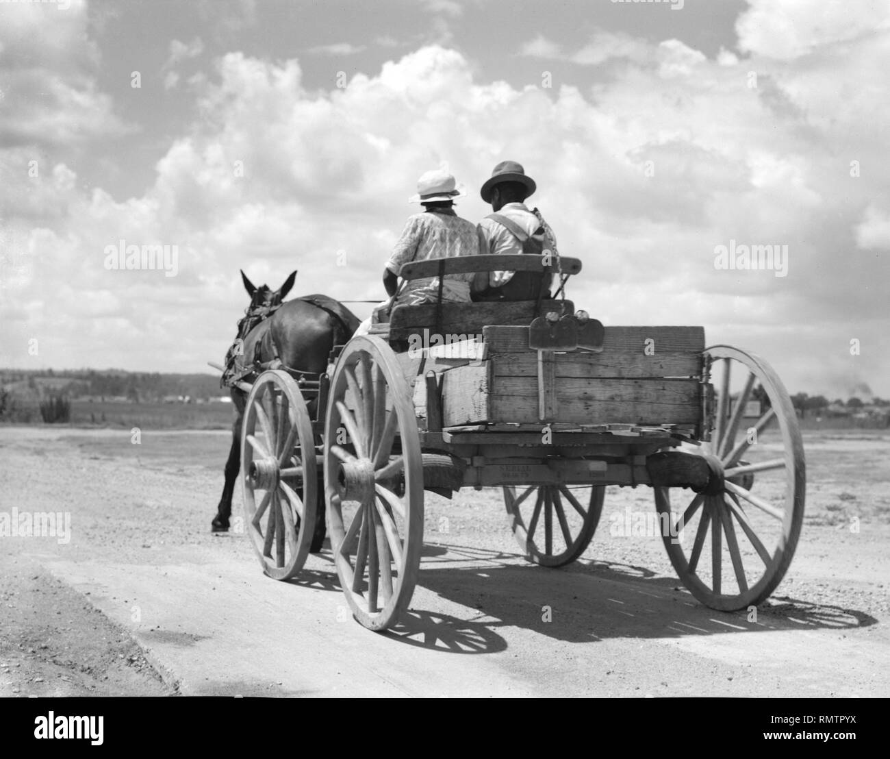 Charrette tirée par un cheval Banque de photographies et d’images à ...