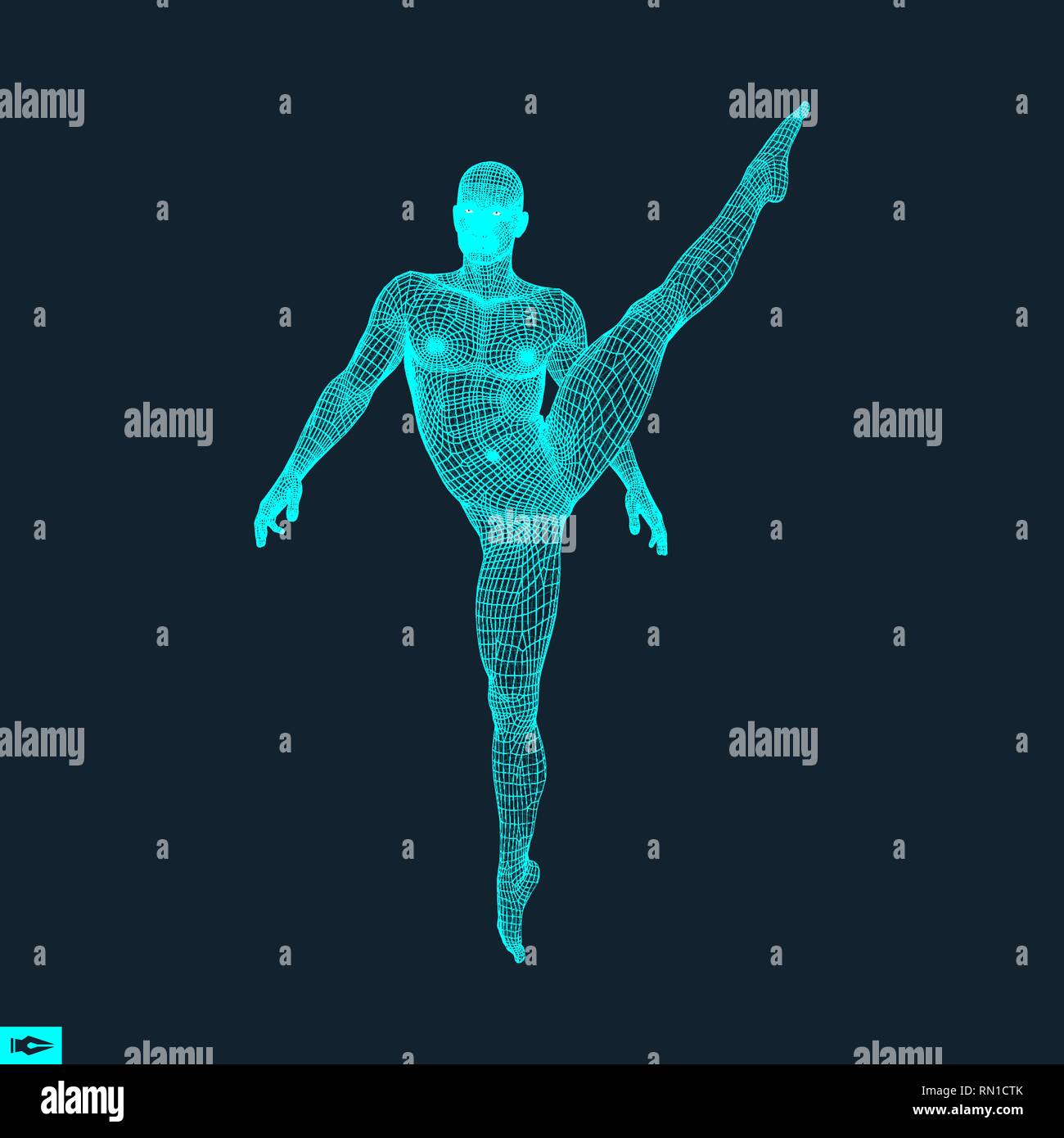 Gymnaste. L'homme. Modèle 3D de l'homme. Modèle du corps humain. Les ...