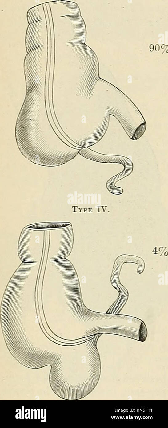 . Anatomie, descriptif et appliquée. L'anatomie. 1298 LES ORGANES DE LA ...