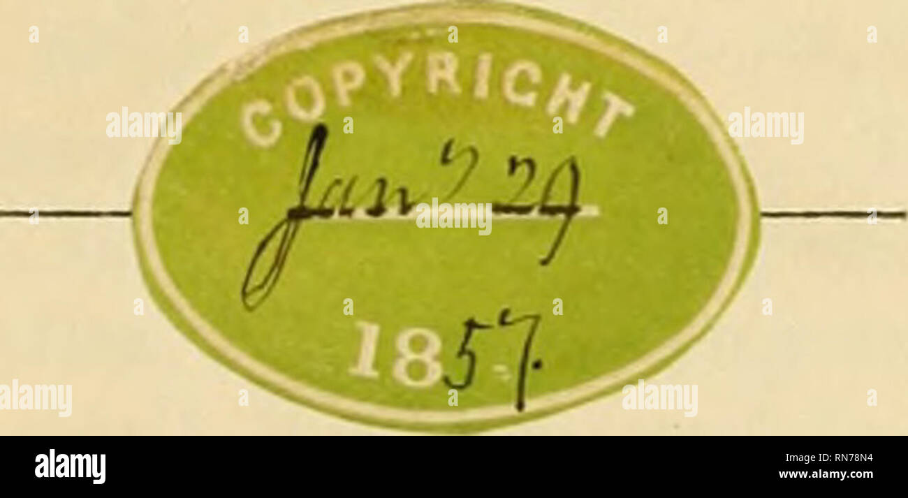 . L'anatomie et la physiologie du cheval : Anatomie et questional avec ...