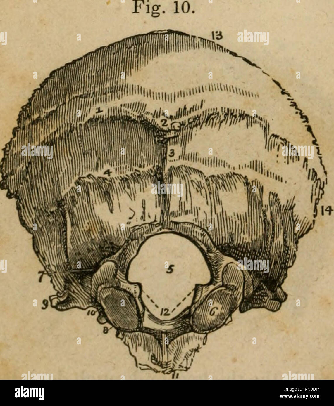 . Un recueil analytique des différentes branches de la science médicale ...