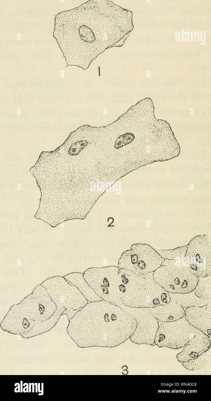 . Le dossier anatomique. Anatomie Anatomie ;. 370 JOHN M. TUFTS ...
