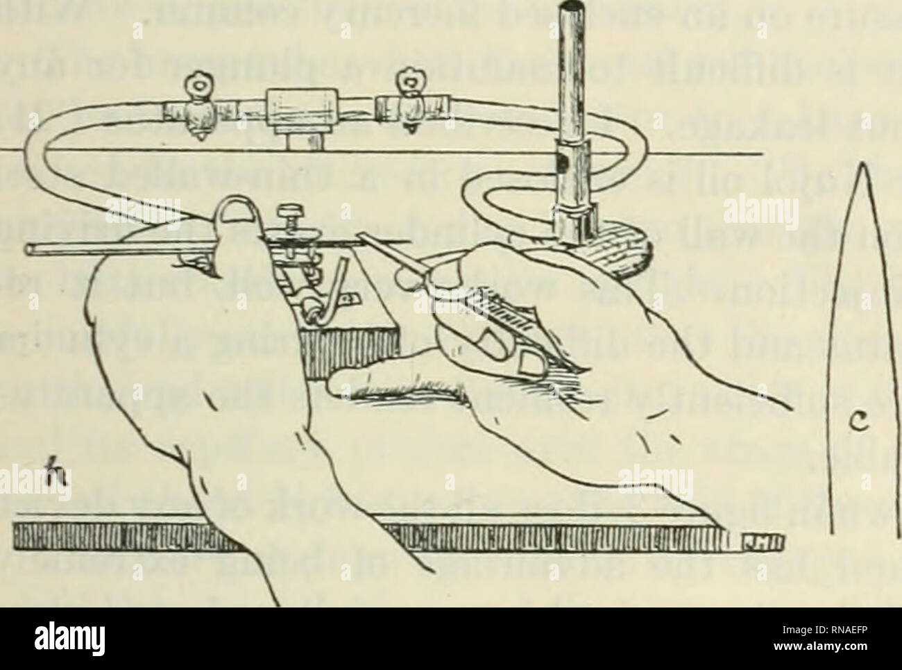 Aiguille de dissection Banque de photographies et d’images à haute ...