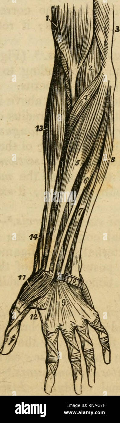. Un recueil analytique des différentes branches de la science médicale ...