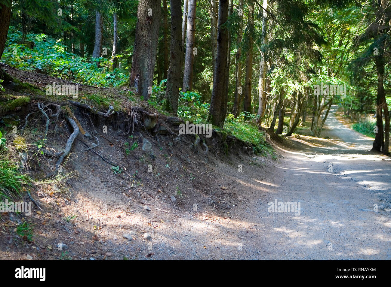 Borjomi nature reserve Banque de photographies et d’images à haute ...