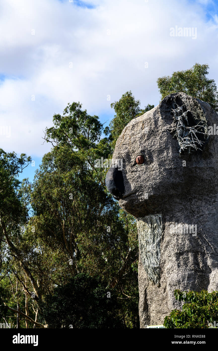 Giant koala Banque de photographies et d’images à haute résolution - Alamy