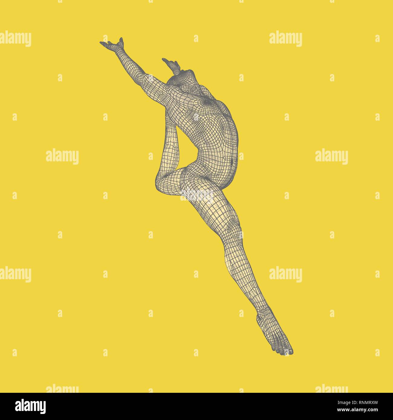 Gymnaste. Modèle 3D de l'homme. Modèle du corps humain. Les activités ...