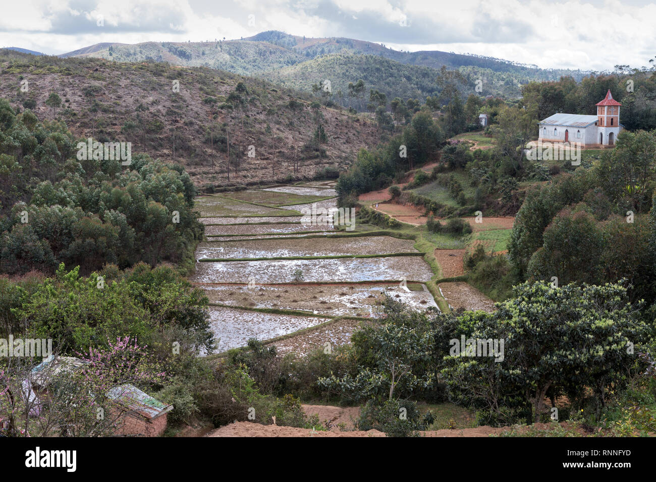 Paysage de rizière madagascar Banque de photographies et d’images à ...