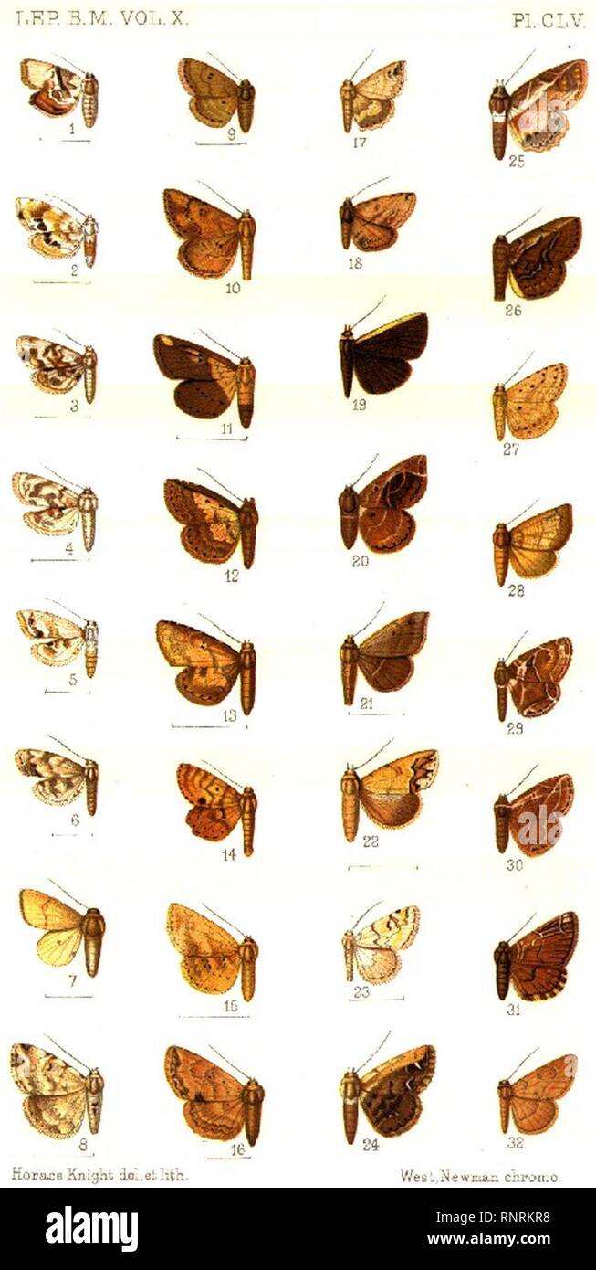 Plaque clv Banque de photographies et d’images à haute résolution - Alamy